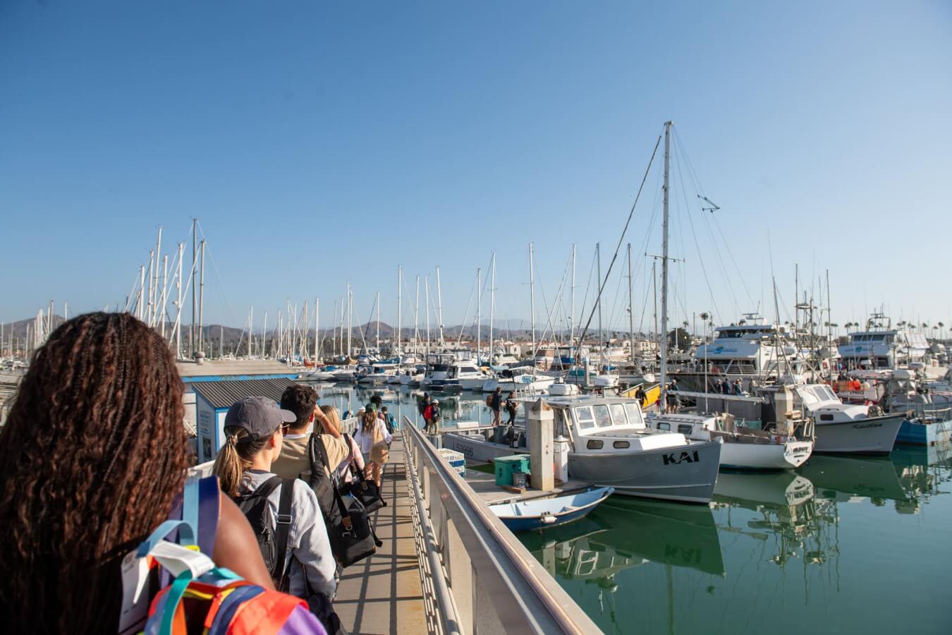 Island Packers Cruises | Ventura, CA Day Trips & Tours