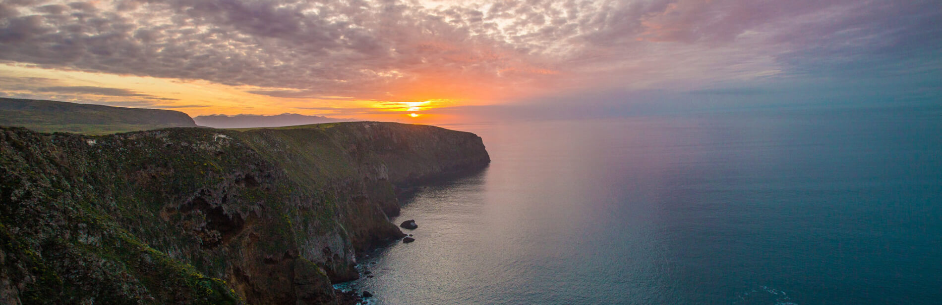 Catch a glimpse of the wild