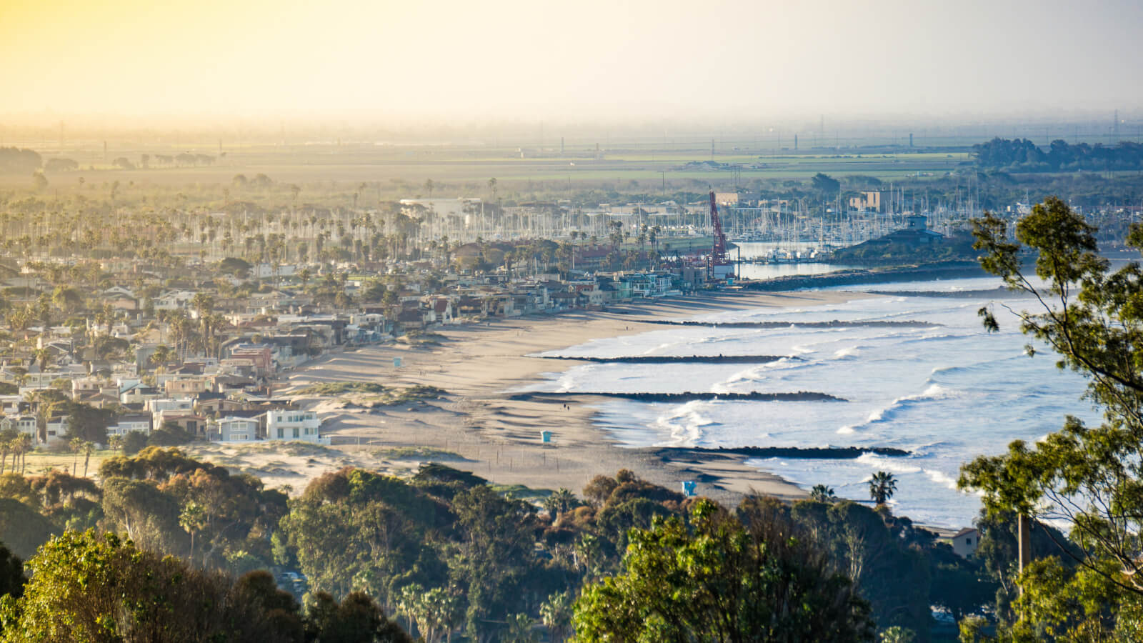 The story behind the song Pierpont by RUCA