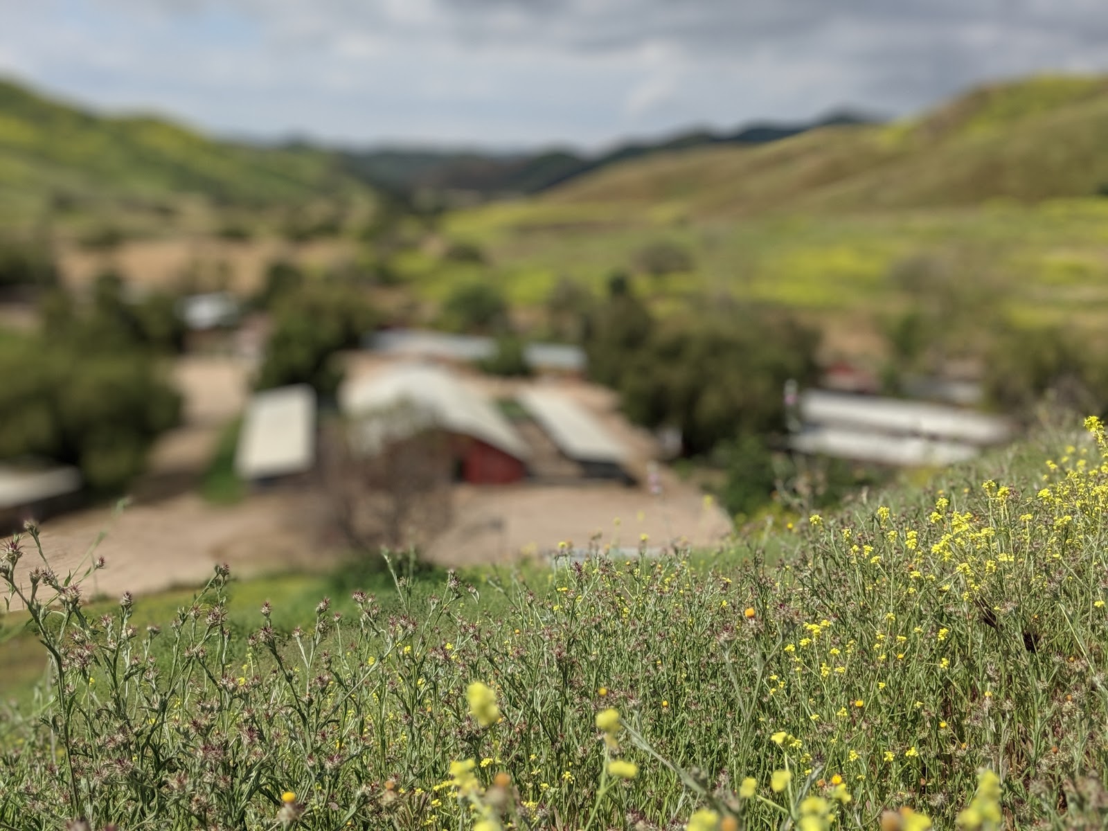 Cañada Larga Ranch in Ventura CA