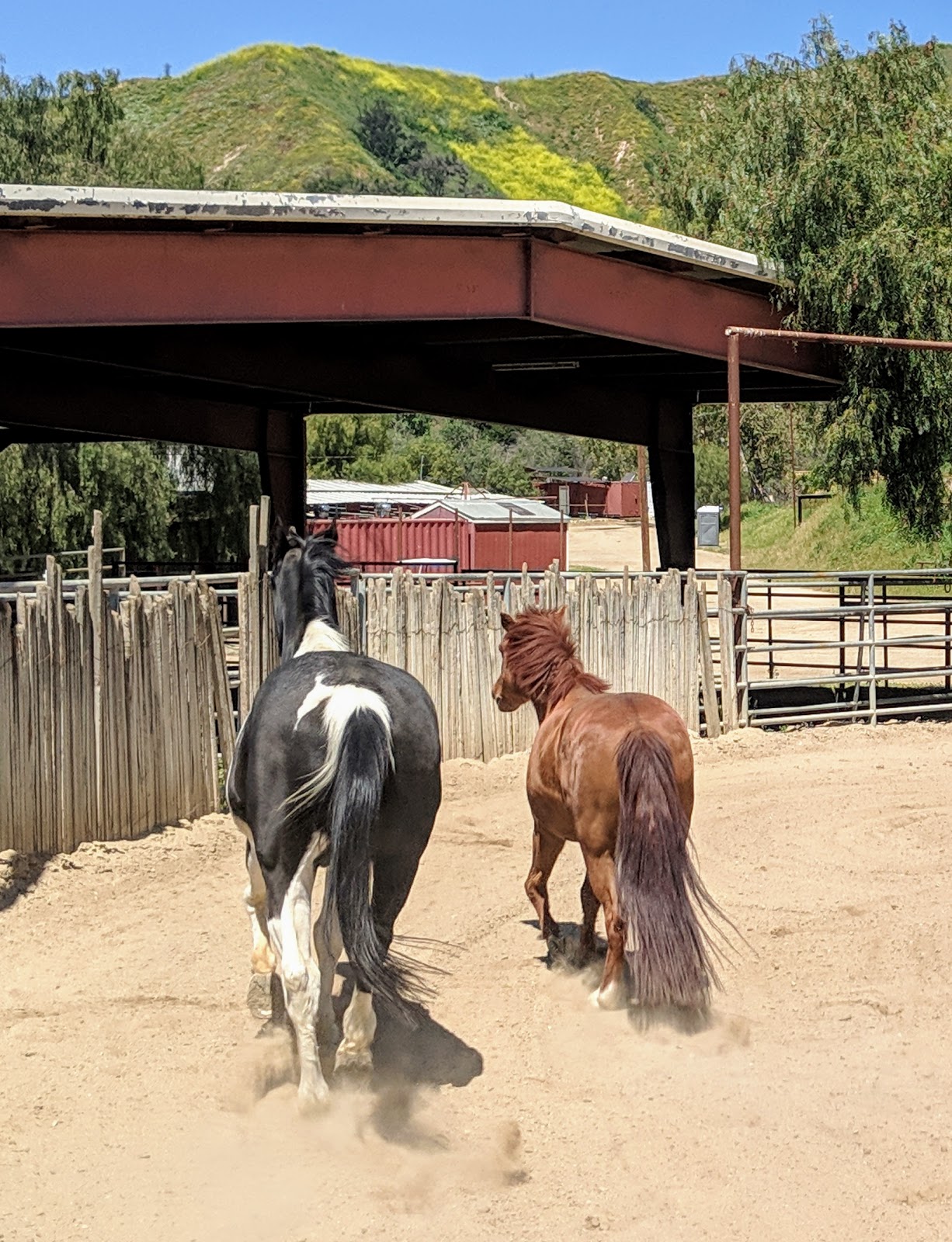 Cañada Larga Ranch in Ventura CA