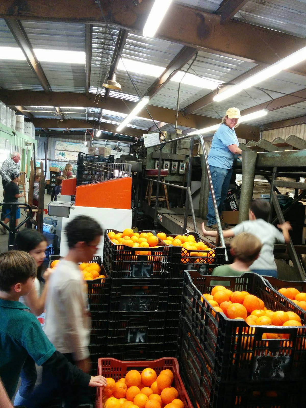 Friend's Ranches Inc in Ojai CA