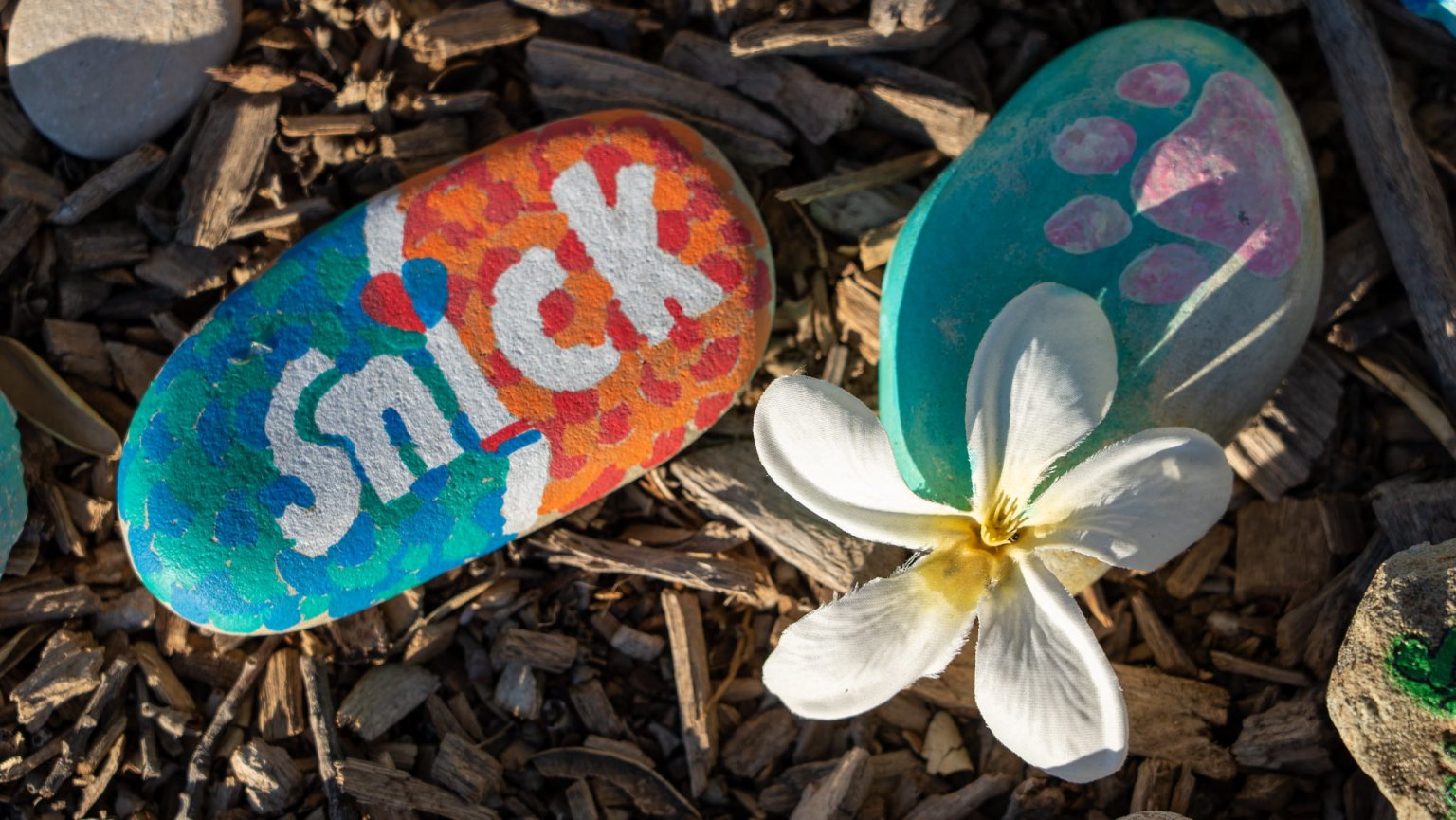 Visit Haole the Surf Dog's Memorial Rock Garden in Ventura