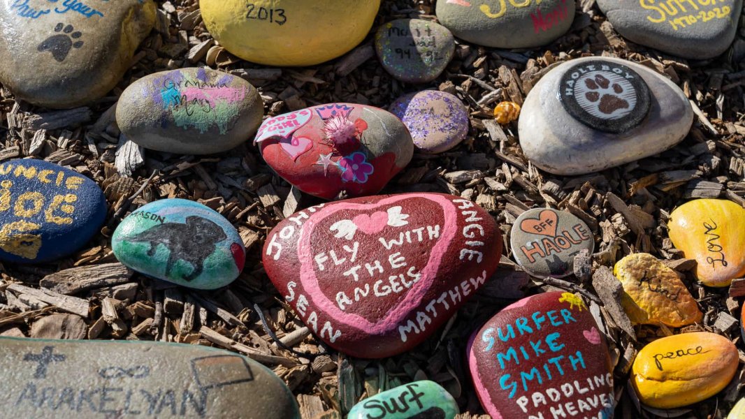 Visit Haole the Surf Dog's Memorial Rock Garden in Ventura