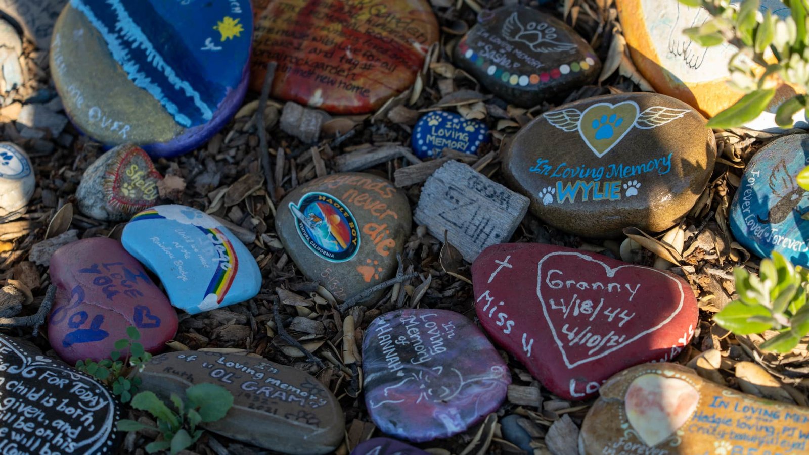 Visit Haole the Surf Dog's Memorial Rock Garden in Ventura