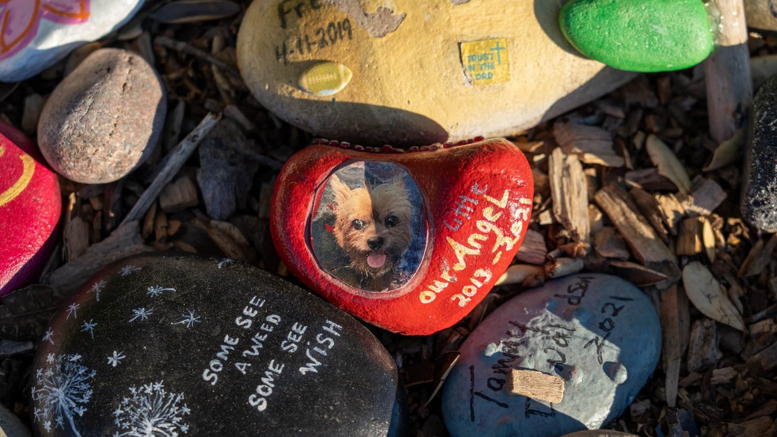 Visit Haole the Surf Dog's Memorial Rock Garden in Ventura