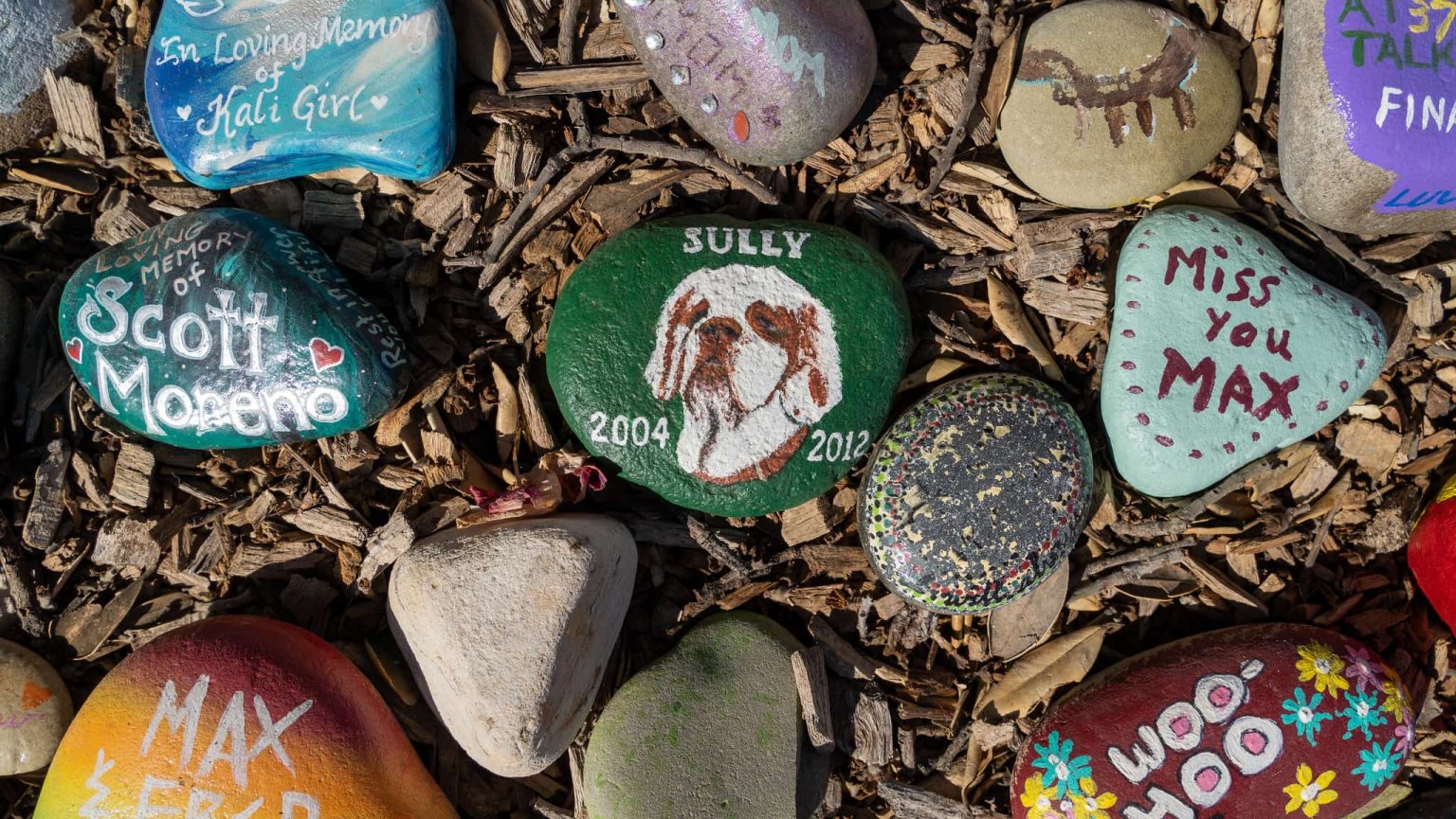 Visit Haole the Surf Dog's Memorial Rock Garden in Ventura