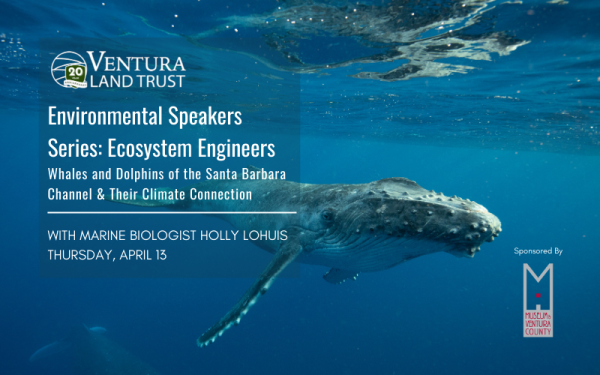 Ventura Events and Businesses to Check Out in April 2023