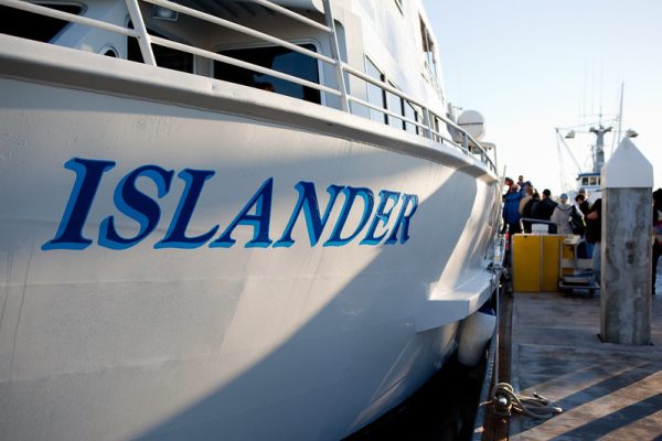 Beginners Guide to a Channel Islands Day Trip