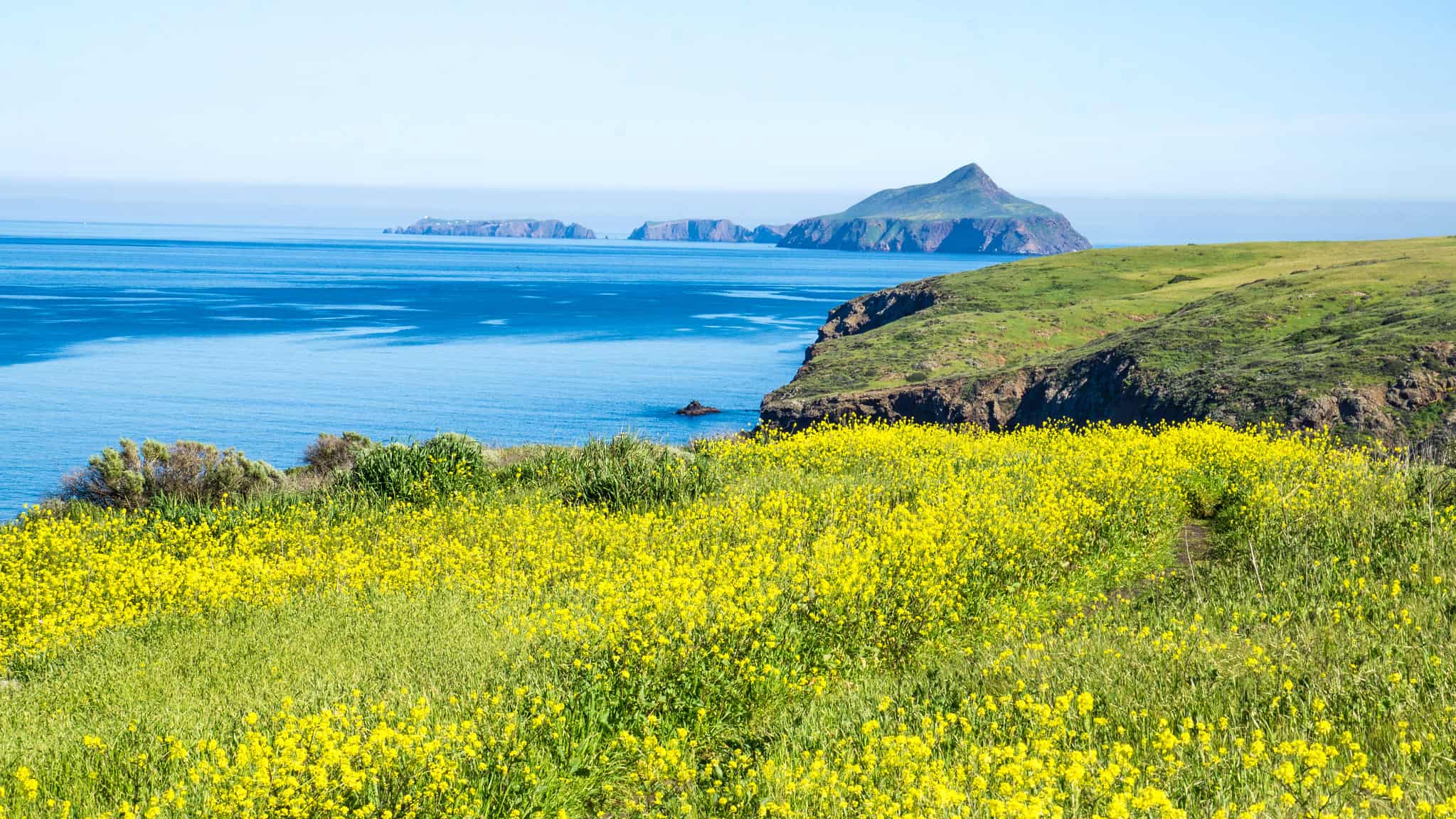 What to Do at Channel Islands National Park